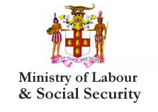 Ministry of Labour and Social Security (MLSS)